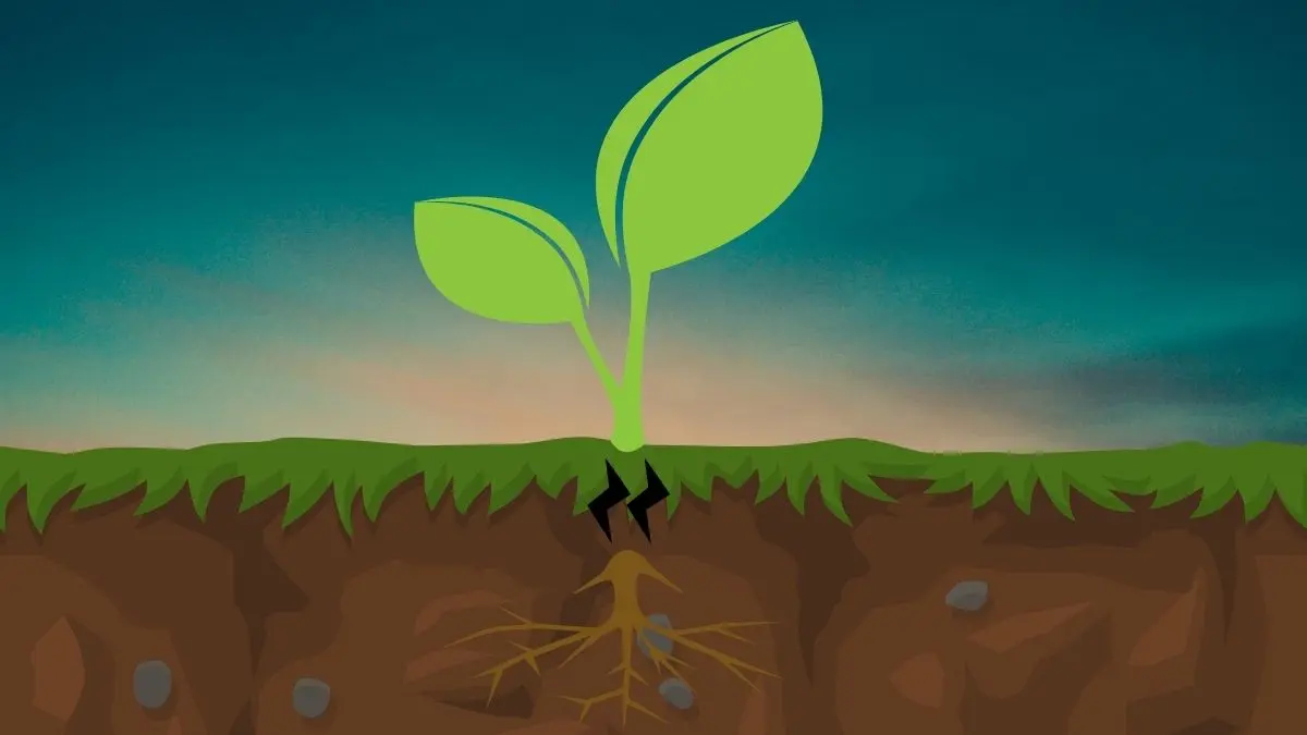 4 Root Cause Analysis Tools and Methods (How to Use Them)