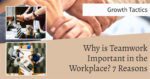 Why is Teamwork Important in the Workplace? 7 Reasons