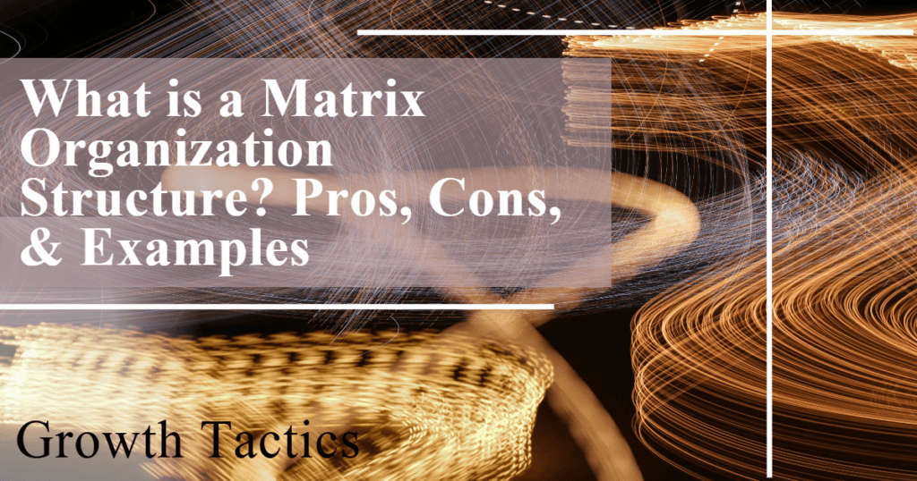 What is a Matrix Organization Structure? Pros, Cons, & Examples