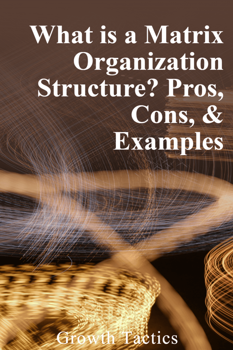 What is a Matrix Organization Structure? Pros, Cons, & Examples